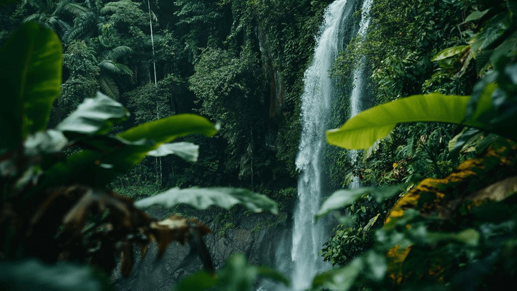 Aventis Commodities | Driving the Future of Green Commodities